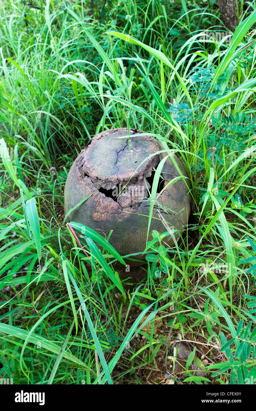 West african benin cemetery hi-res stock photography and images - Alamy