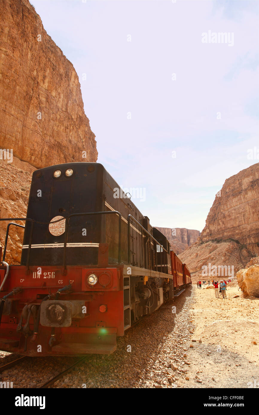 Tunisia train lezard rouge hi-res stock photography and images - Alamy