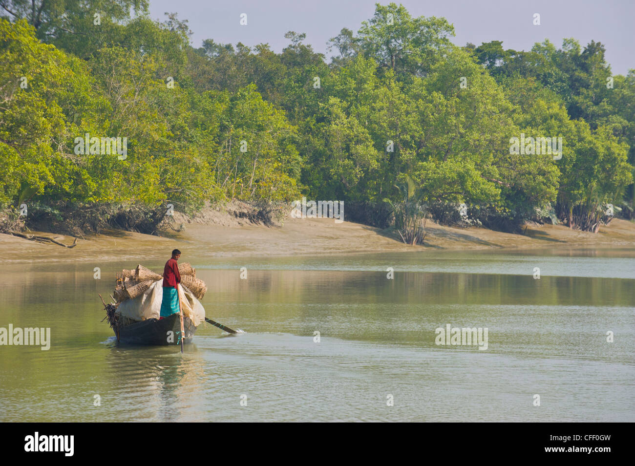 Little rowing boat in the swampy areas of the Sundarbans, UNESCO World ...