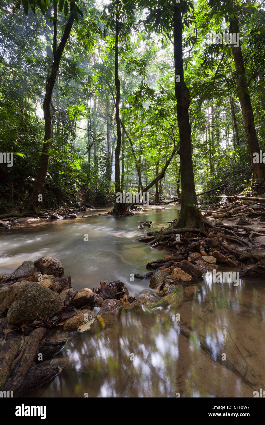 A water stream of the Takala waterfall Stock Photo - Alamy