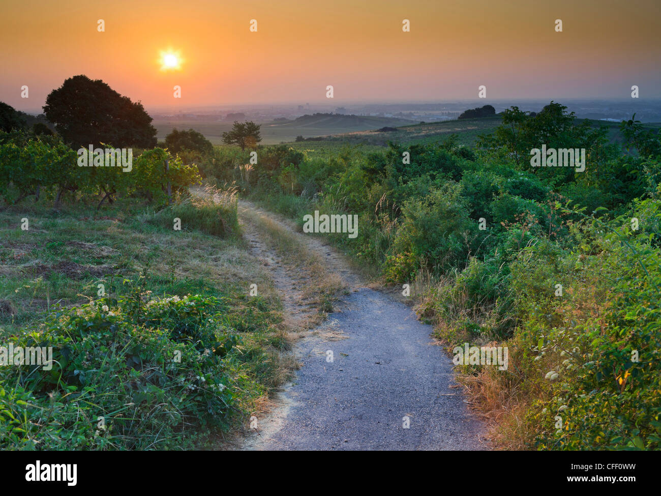 Vienna basin hi-res stock photography and images - Alamy