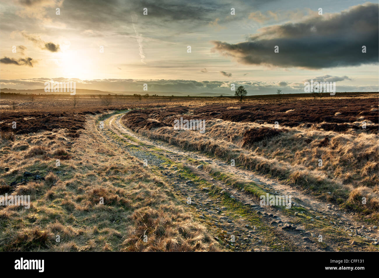 "Moss Road" Public Bridleway at Totley Moss in Derbyshire "Great ...
