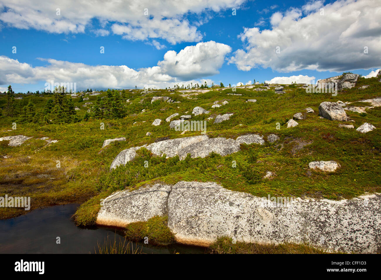 Erratic rocks, Peggy's Cove, Nova Scotia, Canada Stock Photo - Alamy