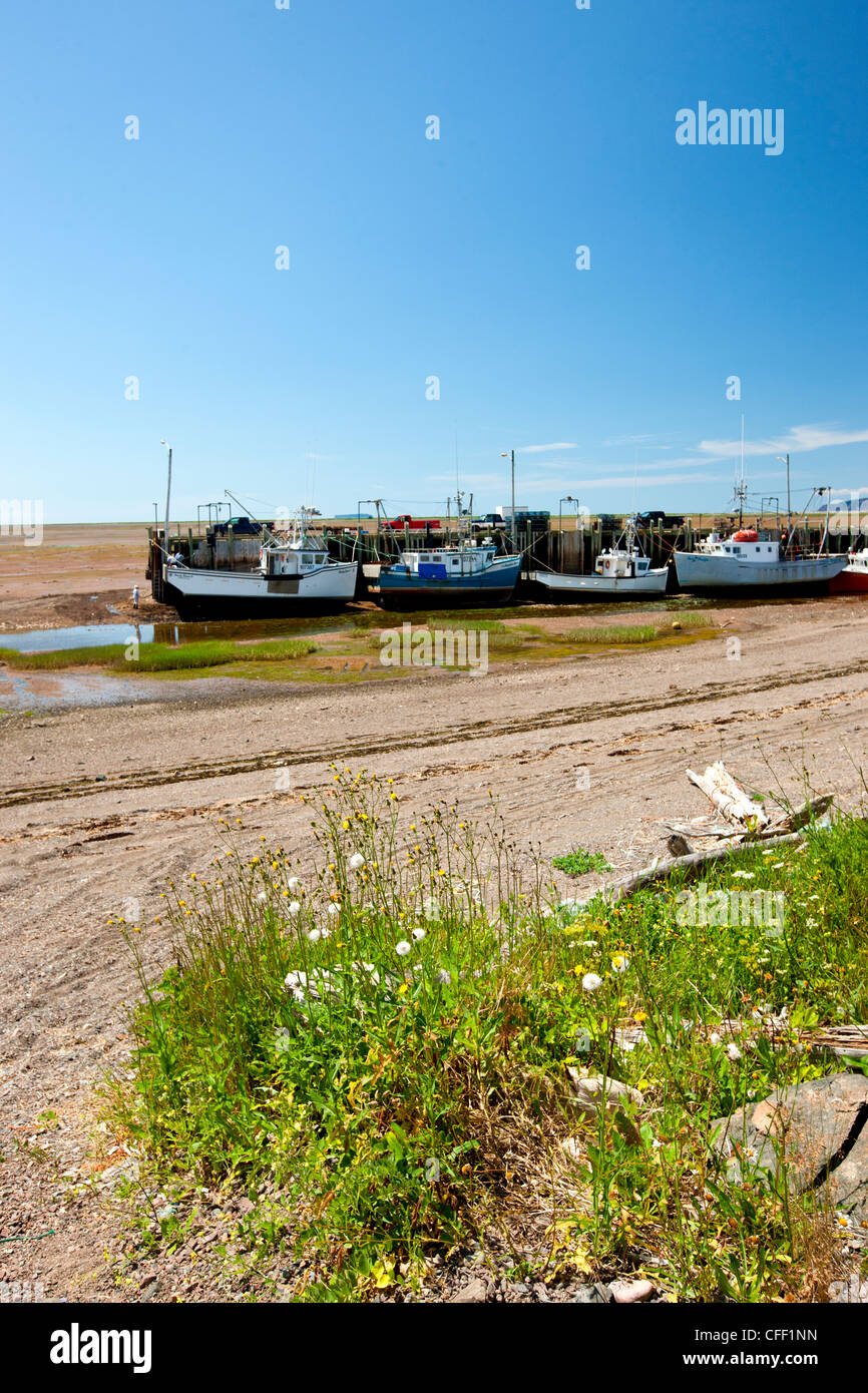 Botany bay wharf hi-res stock photography and images - Alamy