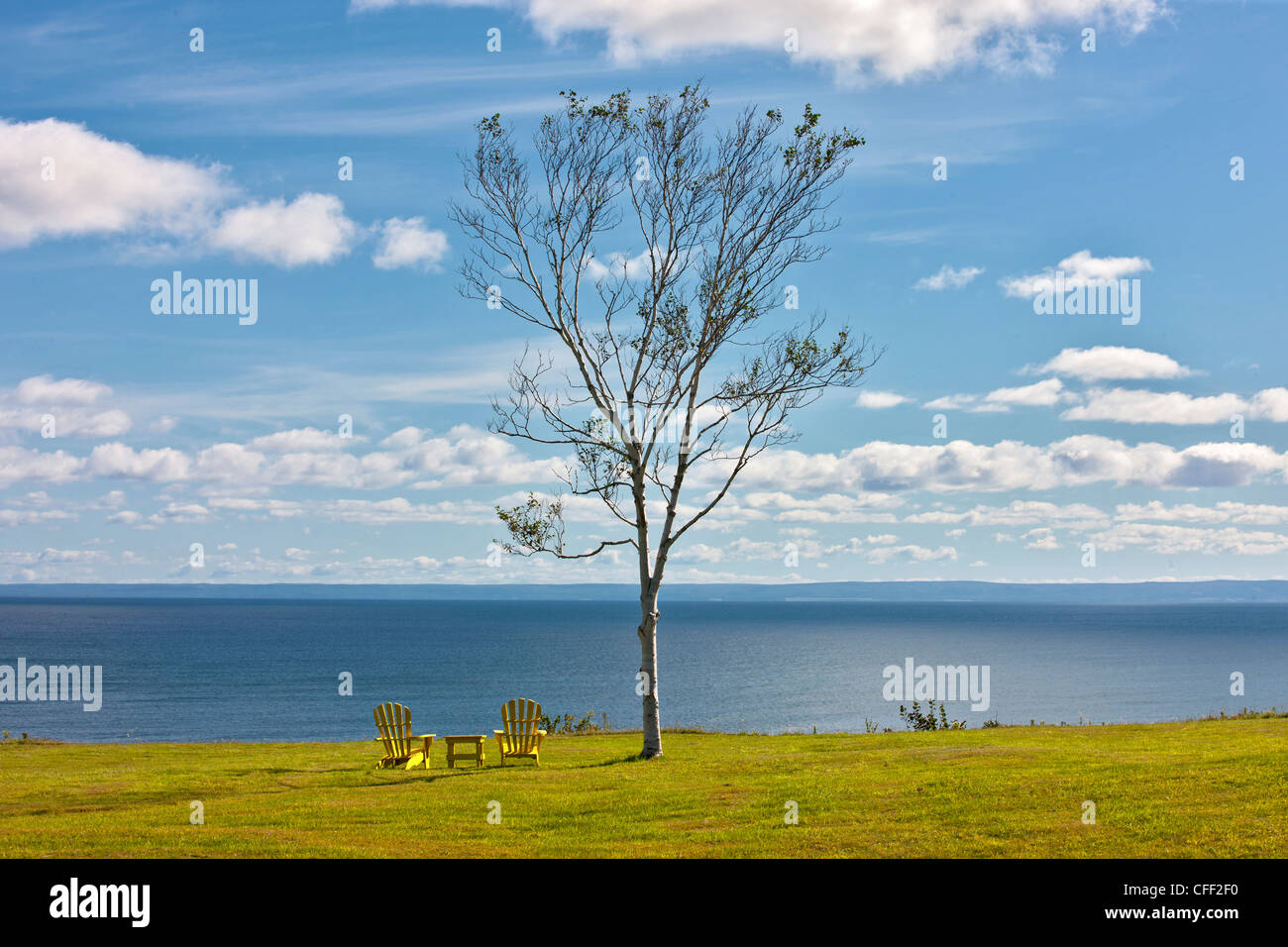 Lawn chairs and birch tree, Cape George, Nova Scotia, Canada Stock ...