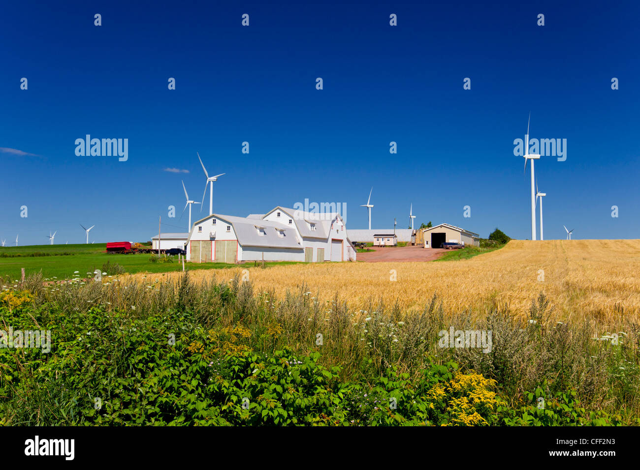 Wind turbines, West Cape, Prince Edward Island, Canada Stock Photo - Alamy