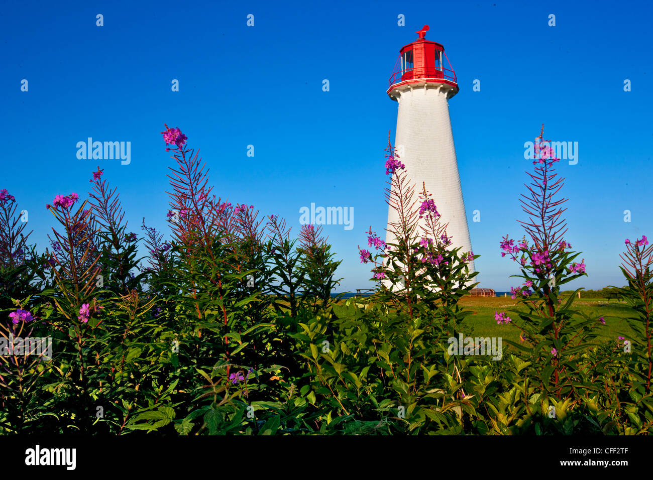 Point Prim Lighthouse High Resolution Stock Photography and Images - Alamy
