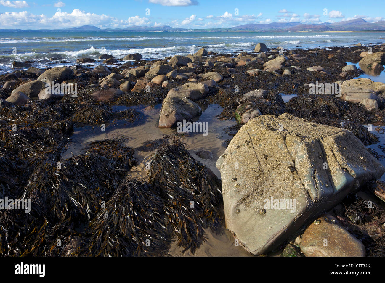 Mountains of Snowdonia from Llandanwg Beach, near Harlech, Gwynedd ...