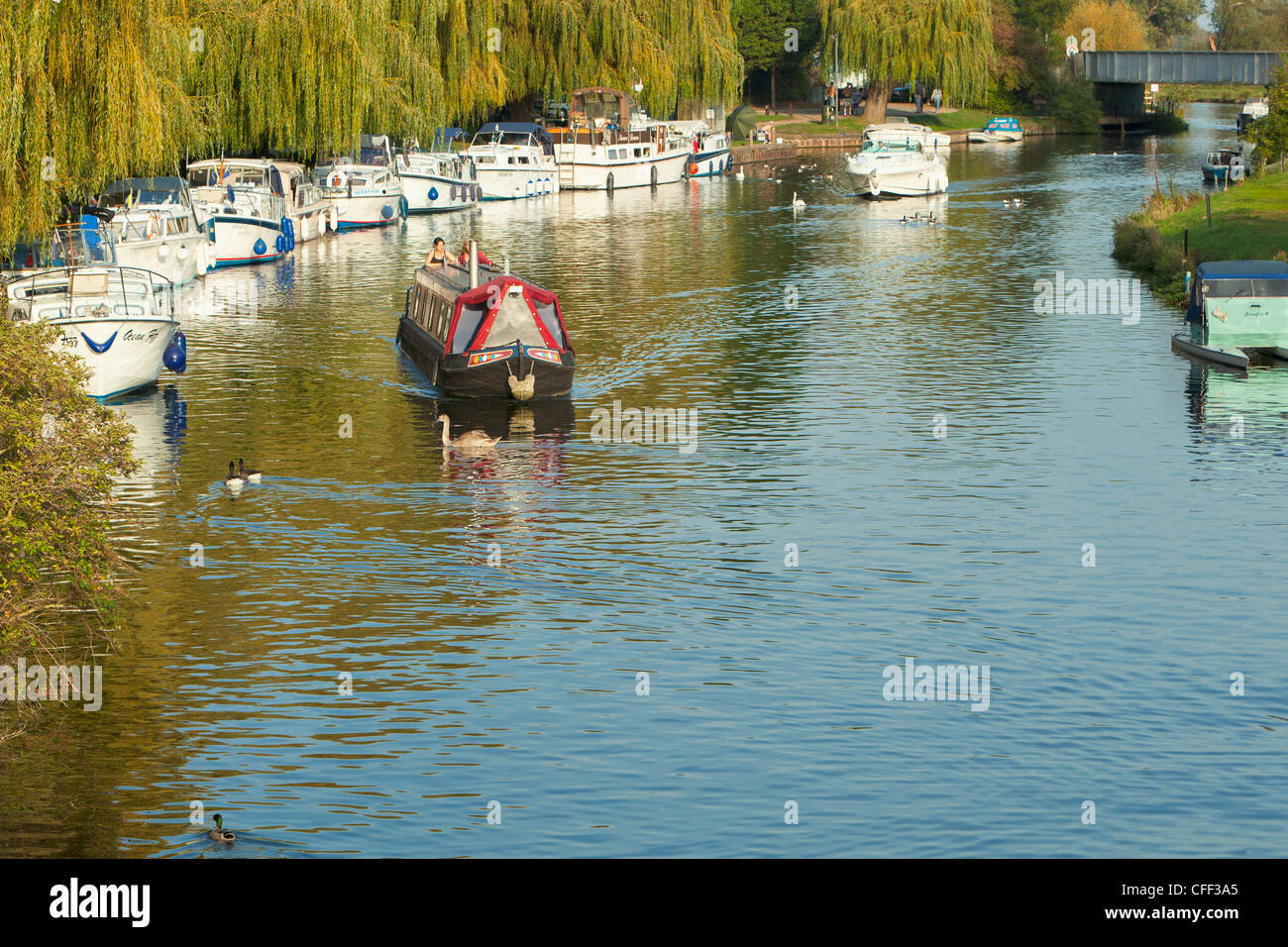 The Great River Ouse and Waterside, Ely, England Stock Photo - Alamy