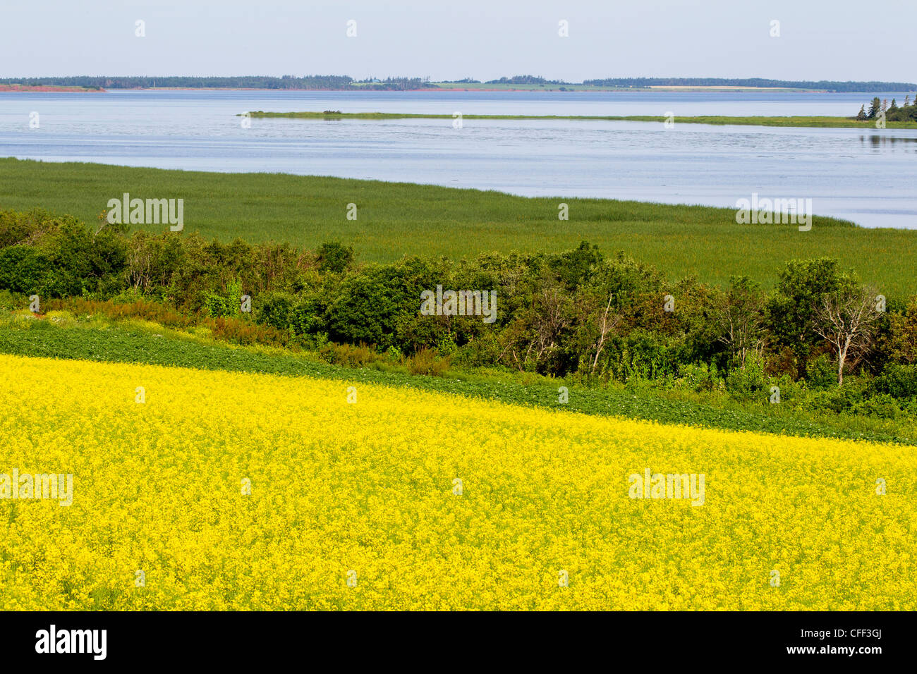 Bedeque hi-res stock photography and images - Alamy