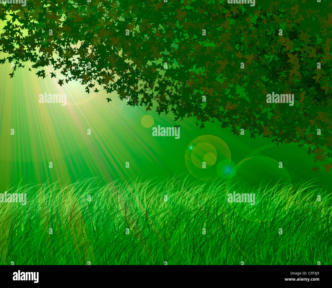 Abstract forest background Stock Photo - Alamy