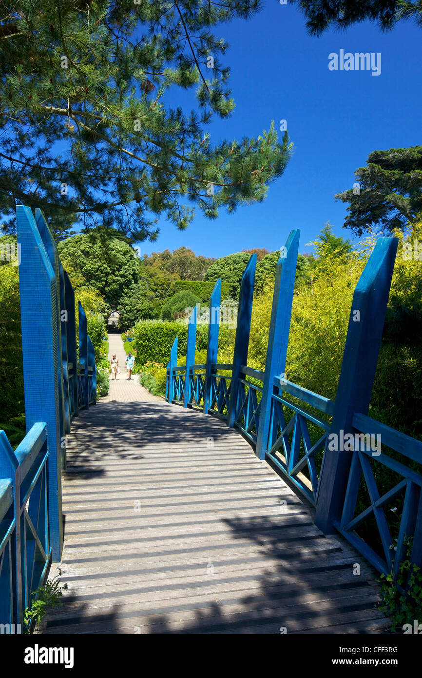 Blue Japanese-style bridge in the sub-tropical Abbey Gardens, Island of ...