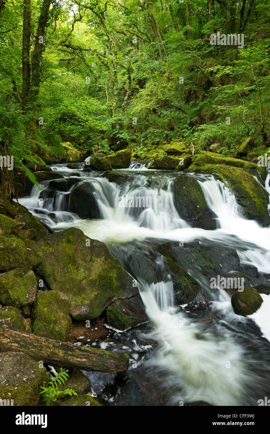 Bodmin moor golitha falls hi-res stock photography and images - Alamy
