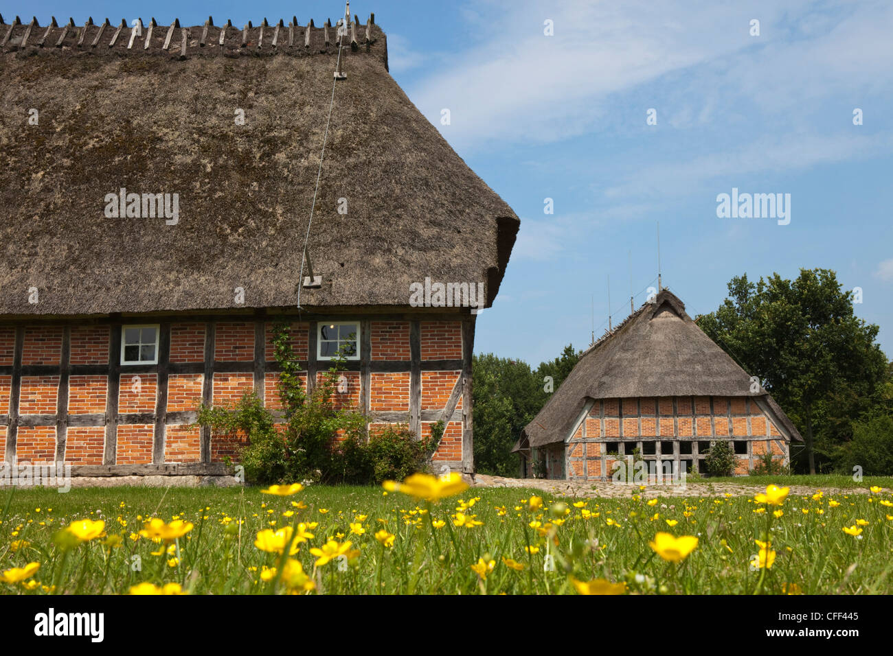 Thatched roof farm house hi-res stock photography and images - Alamy