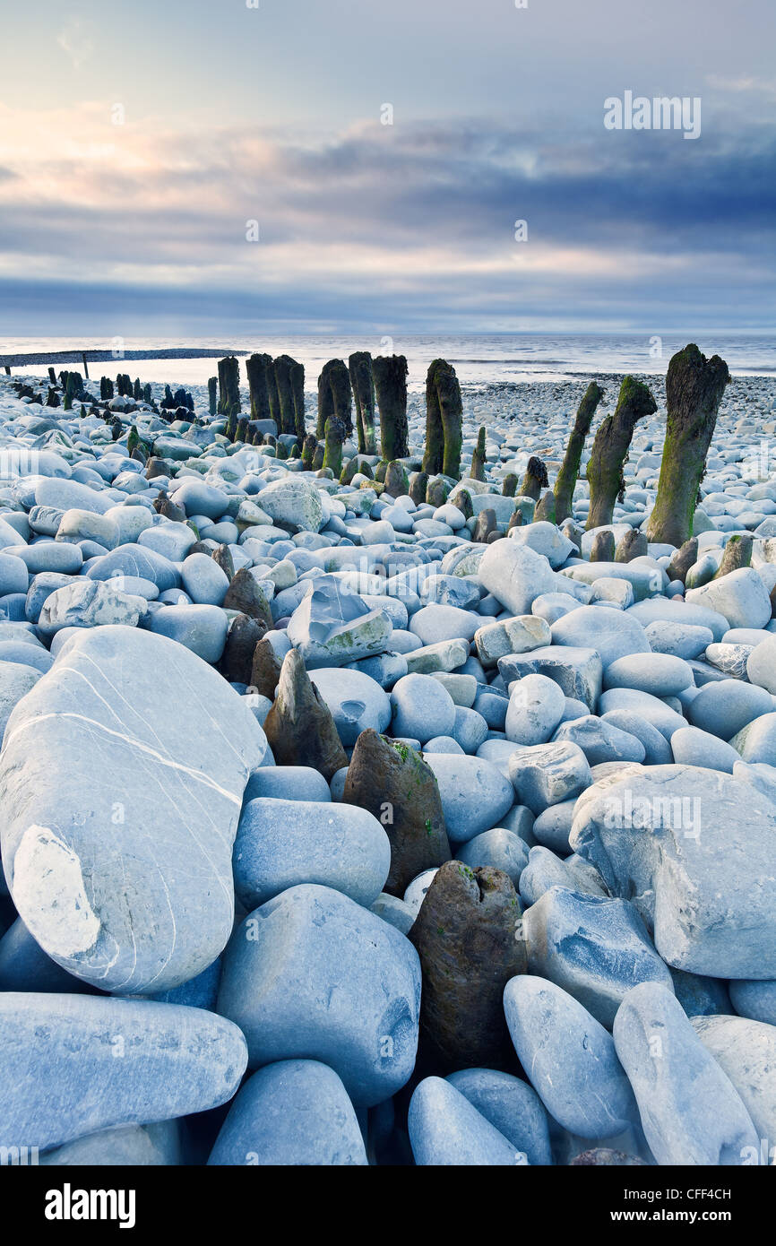 Commercial photographer somerset hi-res stock photography and images ...