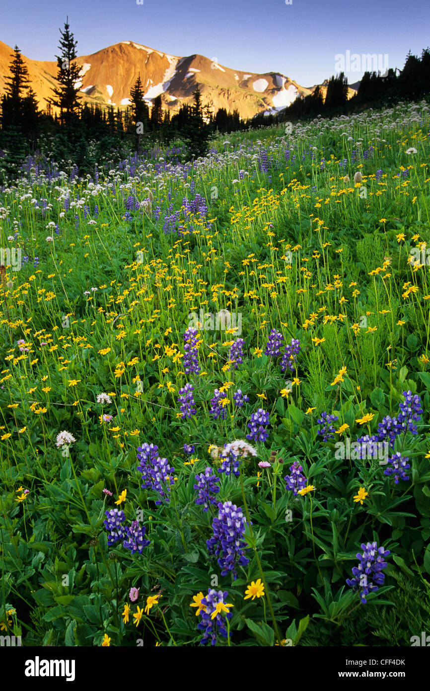South chilcotin range hi-res stock photography and images - Alamy