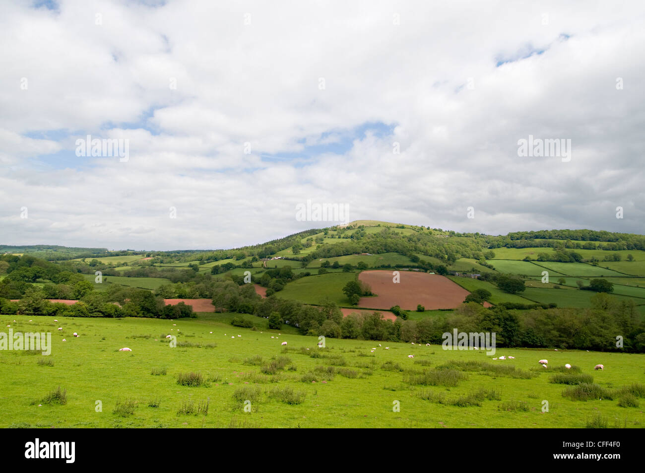 Farming country in rural Herefordshire,Britain Stock Photo - Alamy