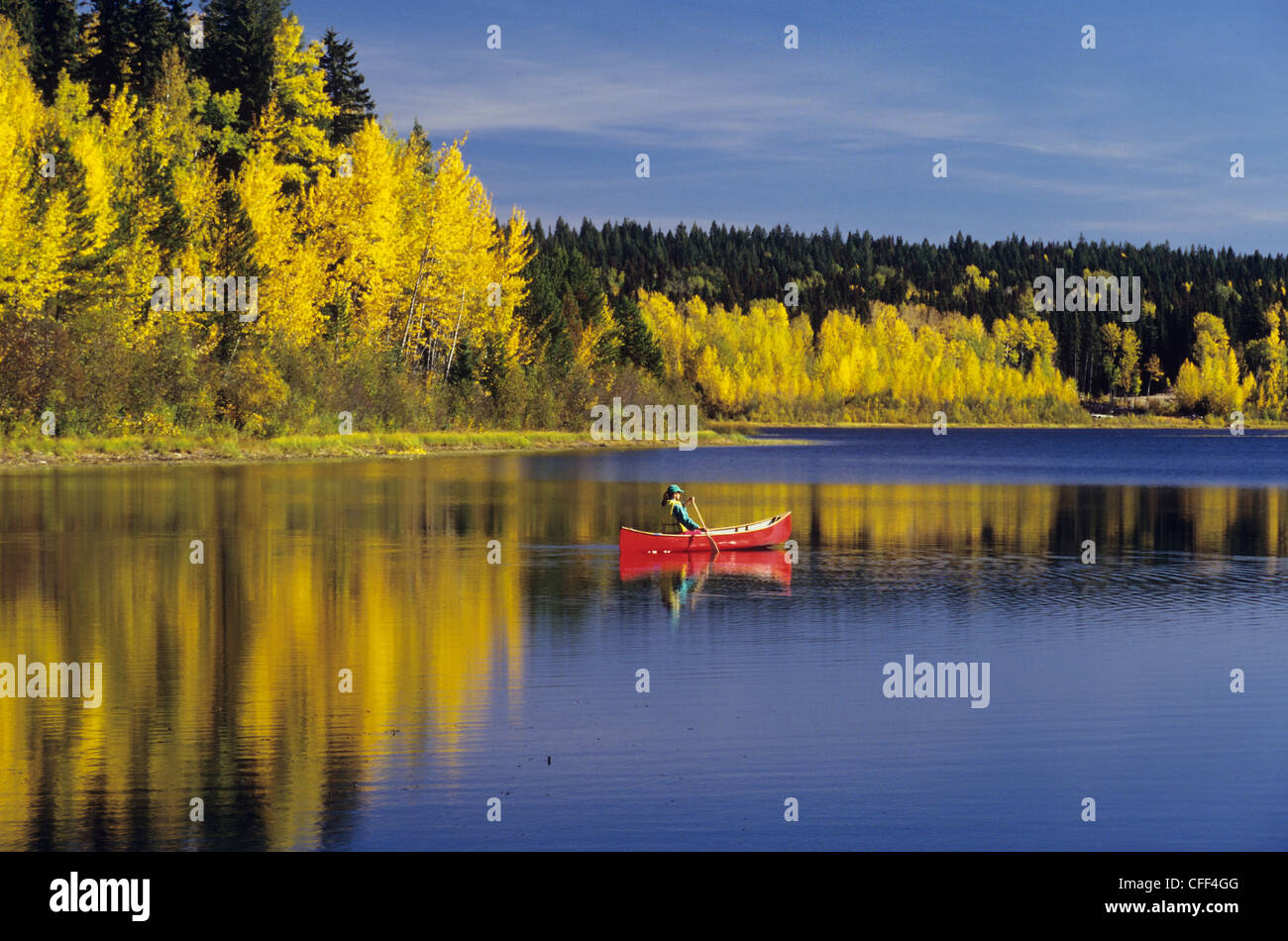 Solo canoeing on Morehead Lake, British Columbia, Canada Stock Photo ...