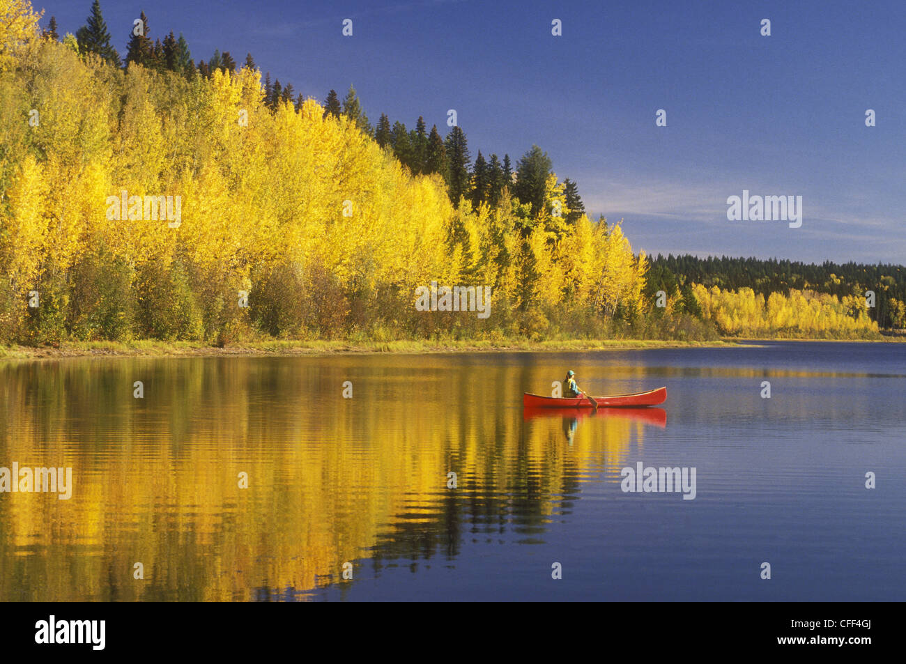 Solo canoeing on Morehead Lake, British Columbia, Canada Stock Photo ...
