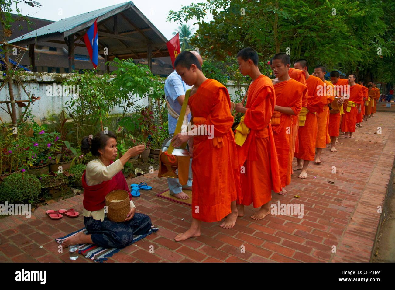 Procession of Buddhist monks collecting alms and rice at dawn, Luang ...