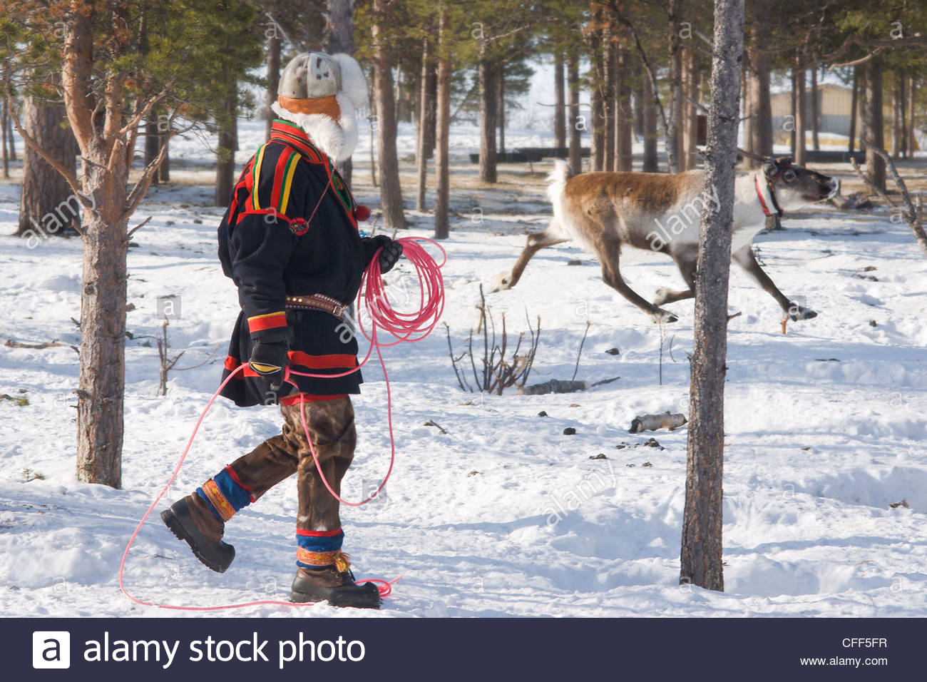 Sami Lapp Stock Photos & Sami Lapp Stock Images - Alamy