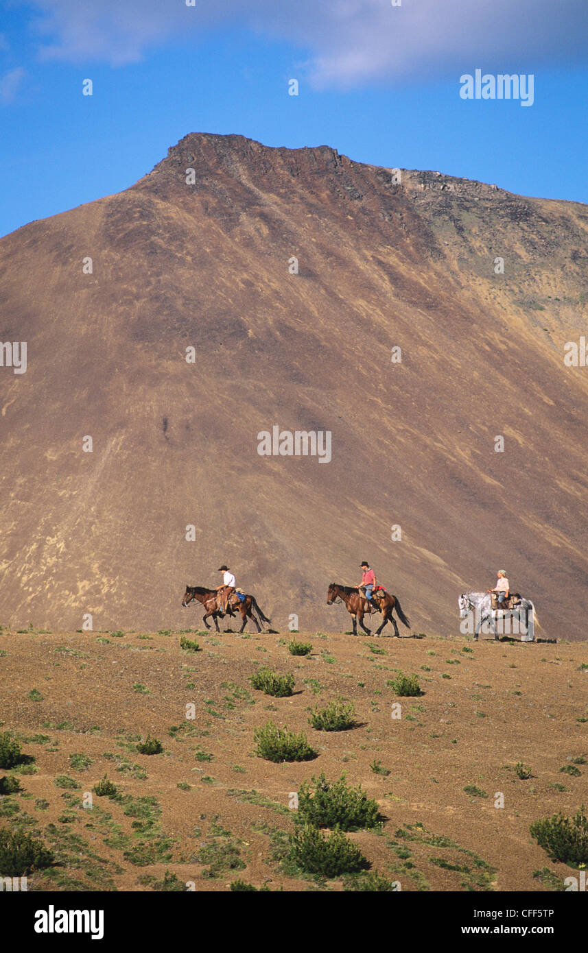 Horses and riders in the South Chilcotin Mountains, near Gold Bridge ...