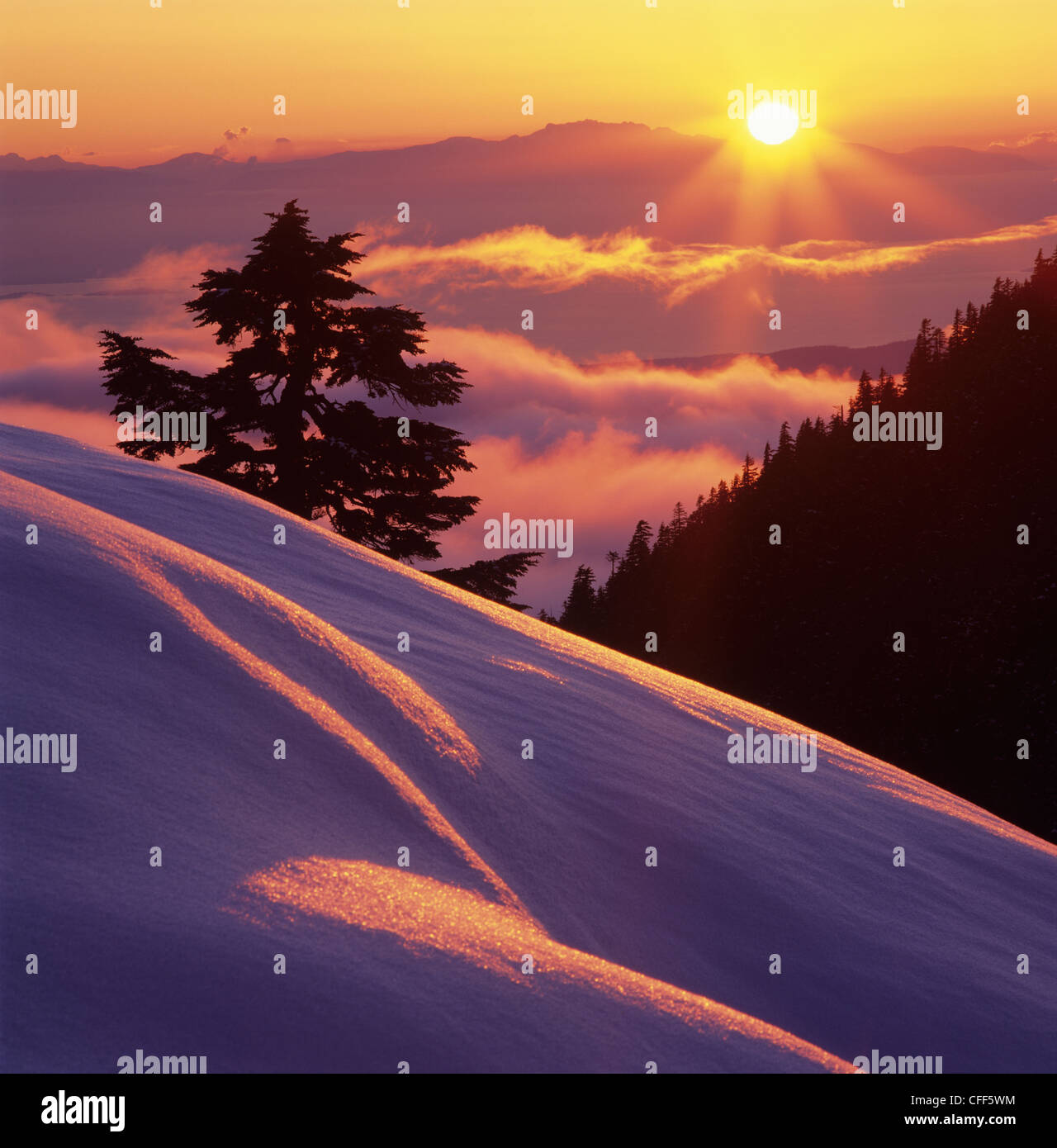 Mount Steele at sunset, Tetrahedron Provincial Park, Sunshine Coast ...