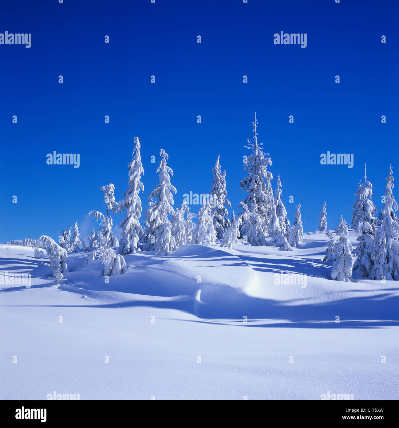 Mount Elphinstone, near Gibsons, Sunshine Coast, British columbia ...