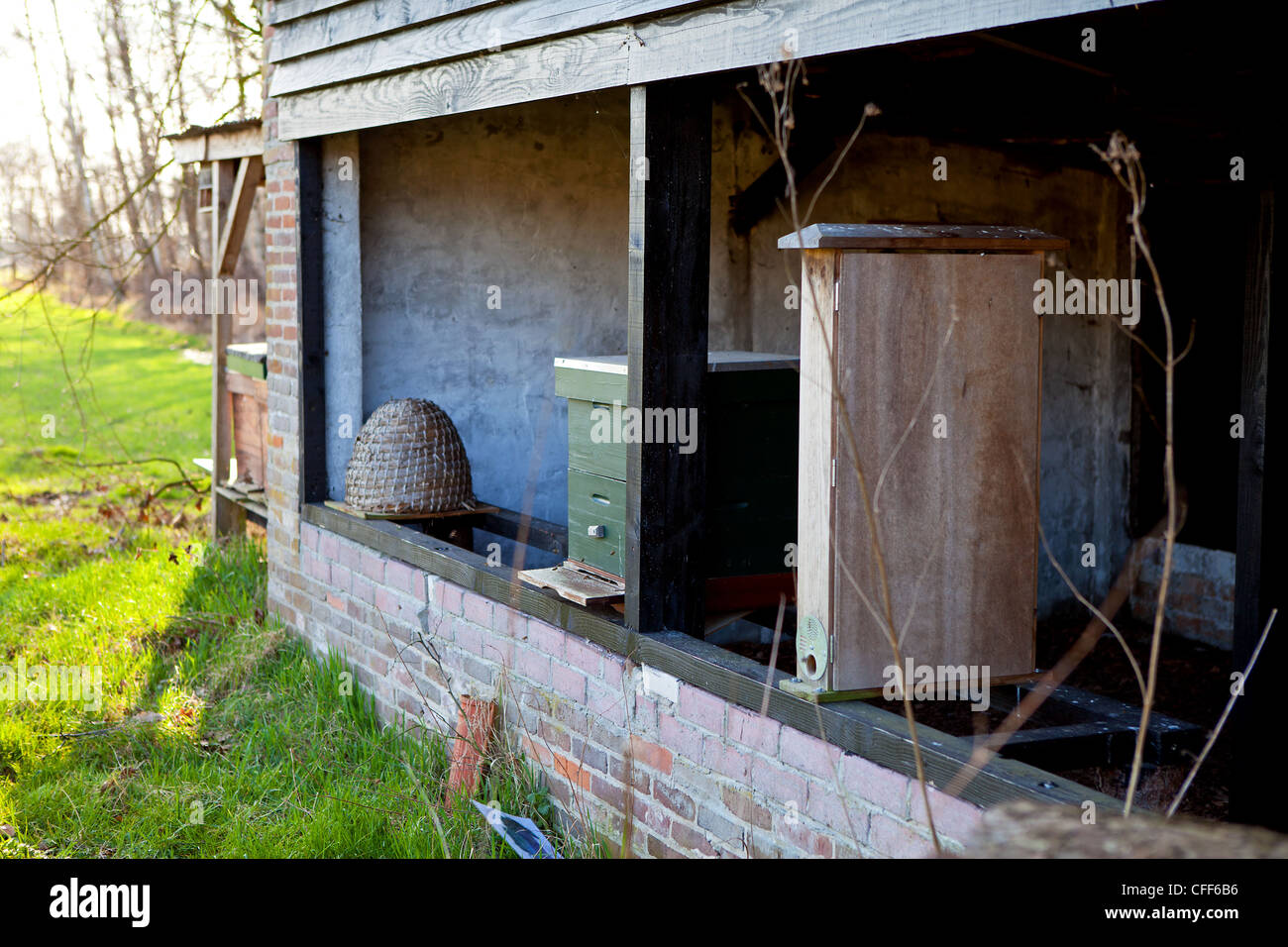 Bee hive in a house with bees Stock Photo - Alamy