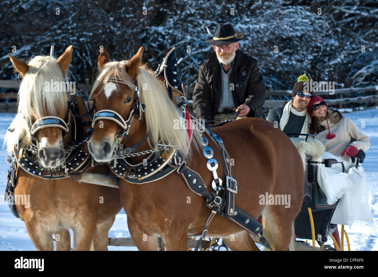 A coachman with a team of horses and covered carriage hi-res stock ...