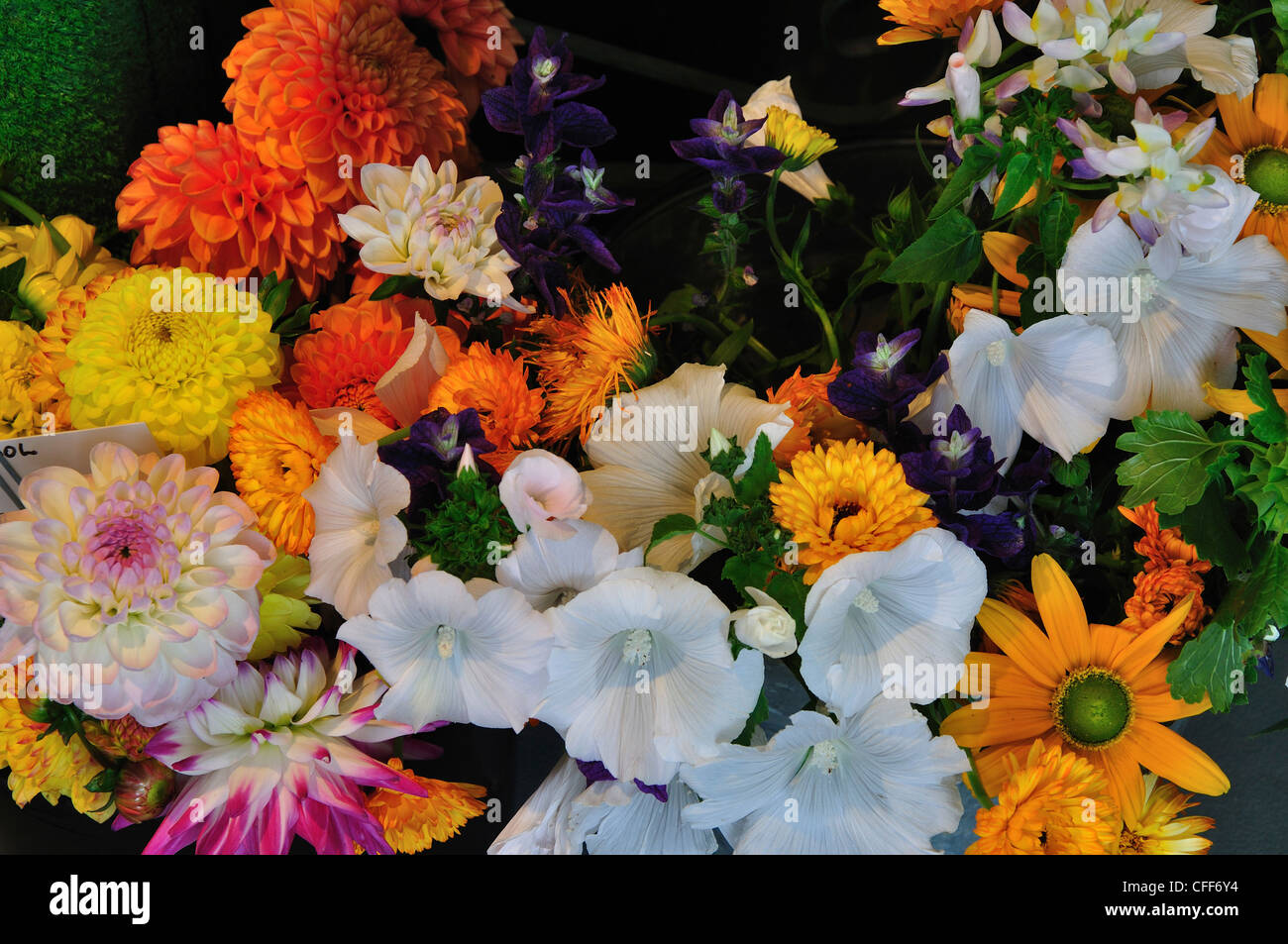 A bunch of colourful flowers UK Stock Photo - Alamy