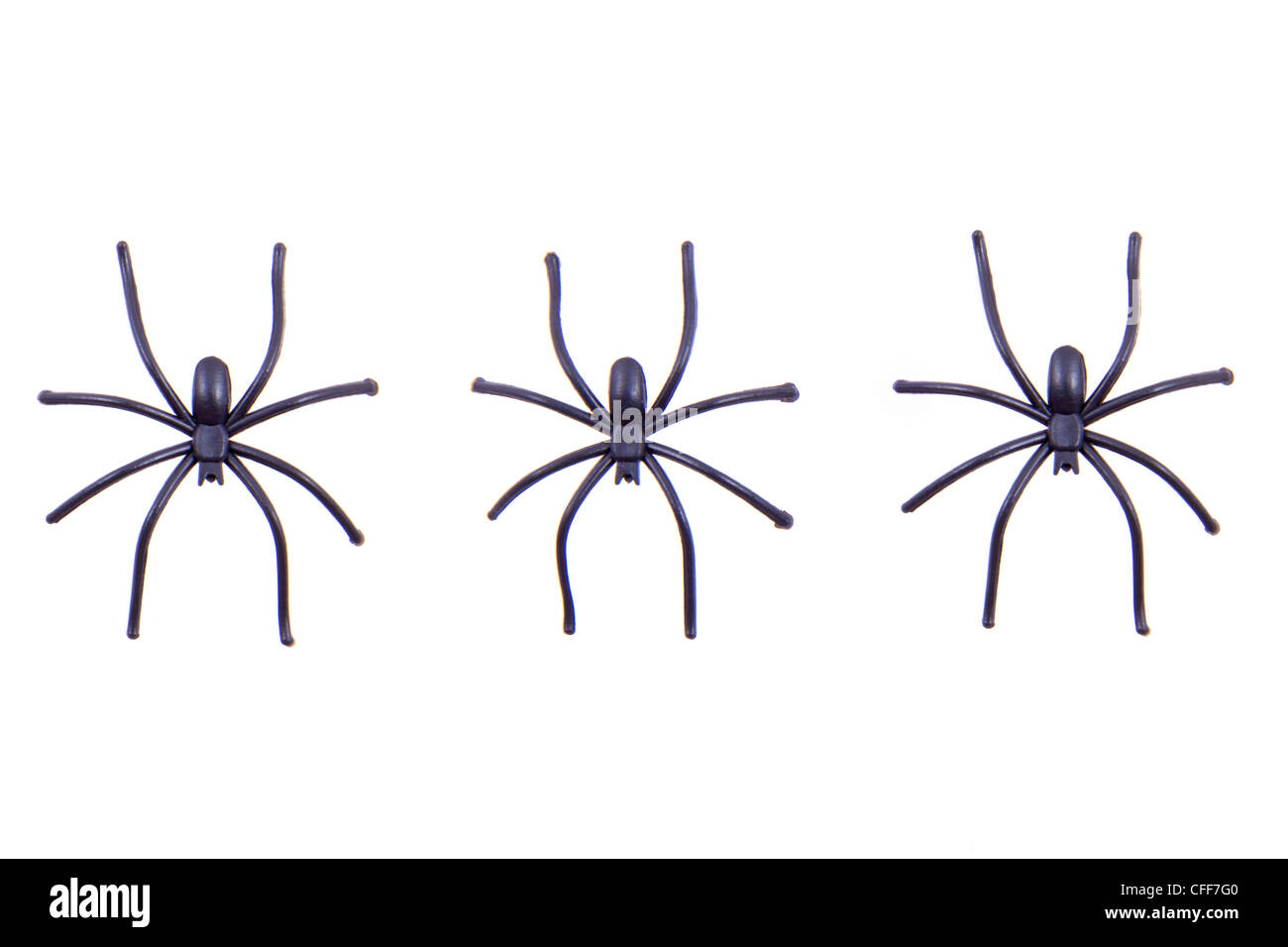Three black spiders in a row isolated over white Stock Photo - Alamy