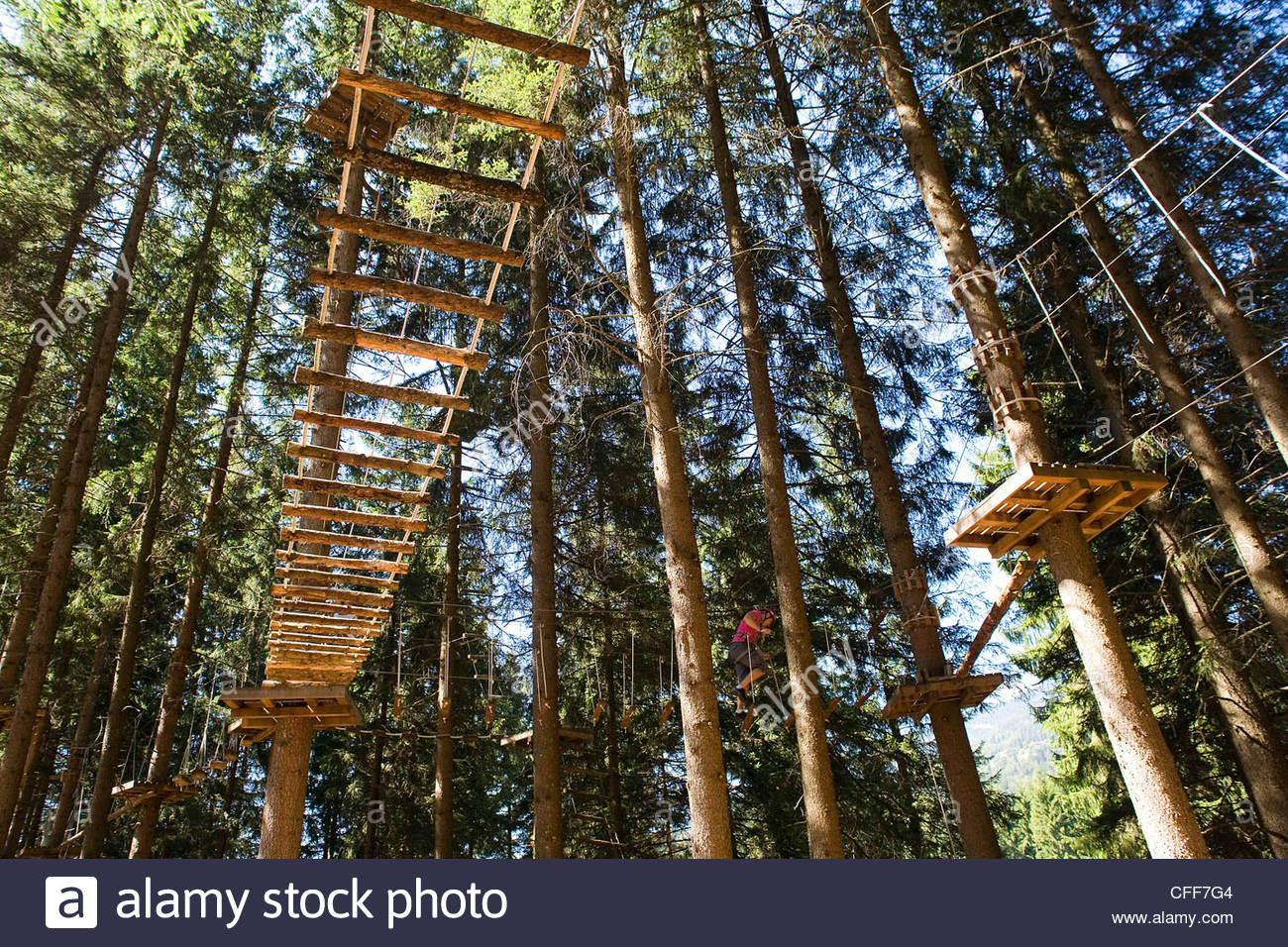 Low Ropes Course Stock Photos & Low Ropes Course Stock Images - Alamy