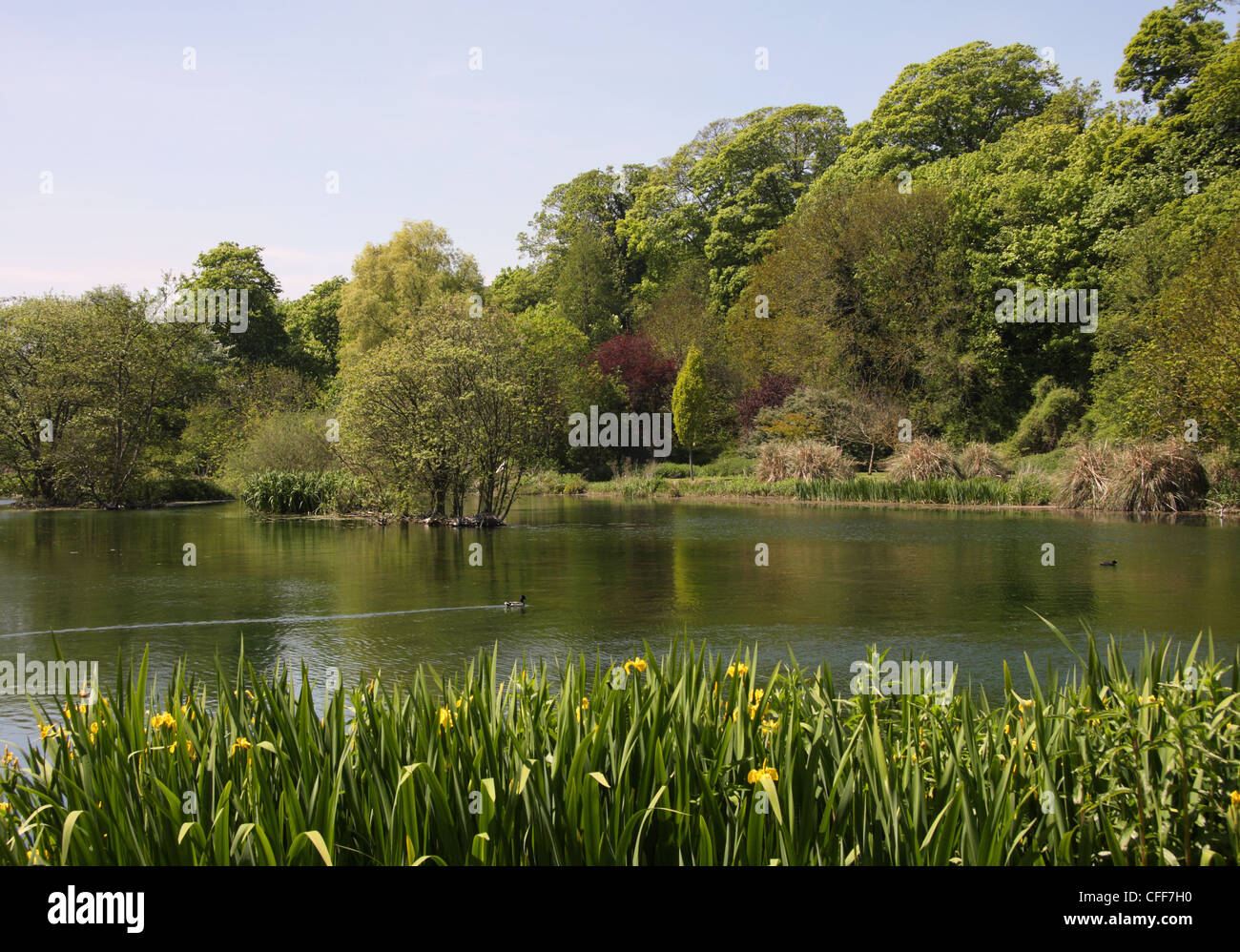 Dover gardens hi-res stock photography and images - Alamy