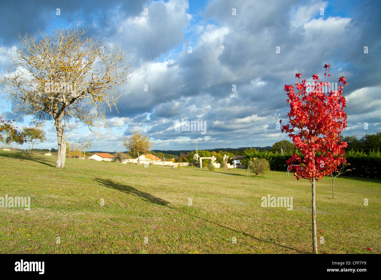 Landscape with colorful tree and cloudy sky Stock Photo - Alamy