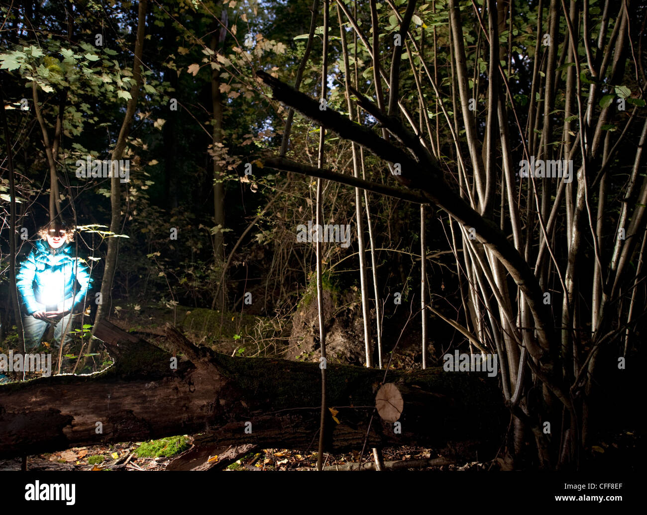 Artificial sun light hi-res stock photography and images - Alamy