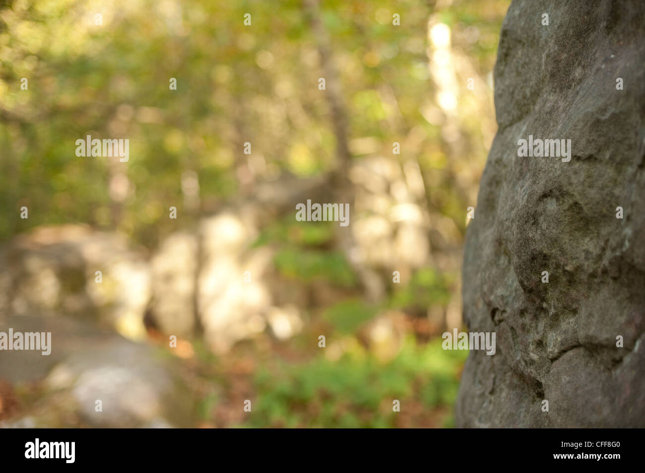 A boulder rock in Fontainbleau with the forest in the sunlight thrown ...