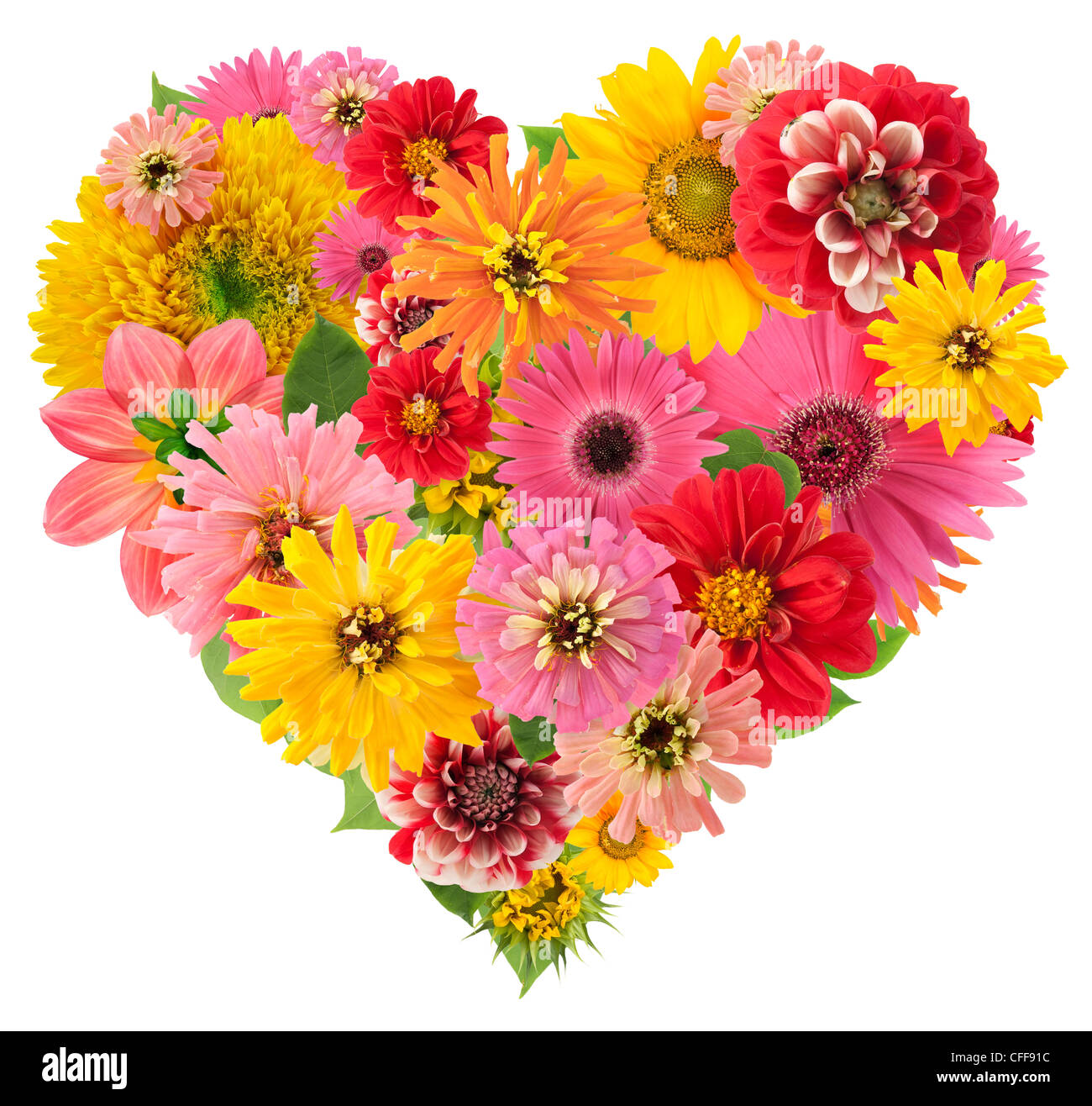 Isolated Summers flowers heart floral collage concept Stock Photo - Alamy