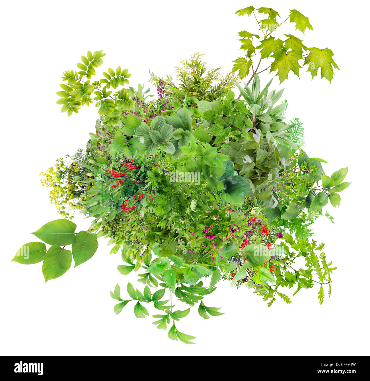 Green plants planet concept collage background Stock Photo - Alamy