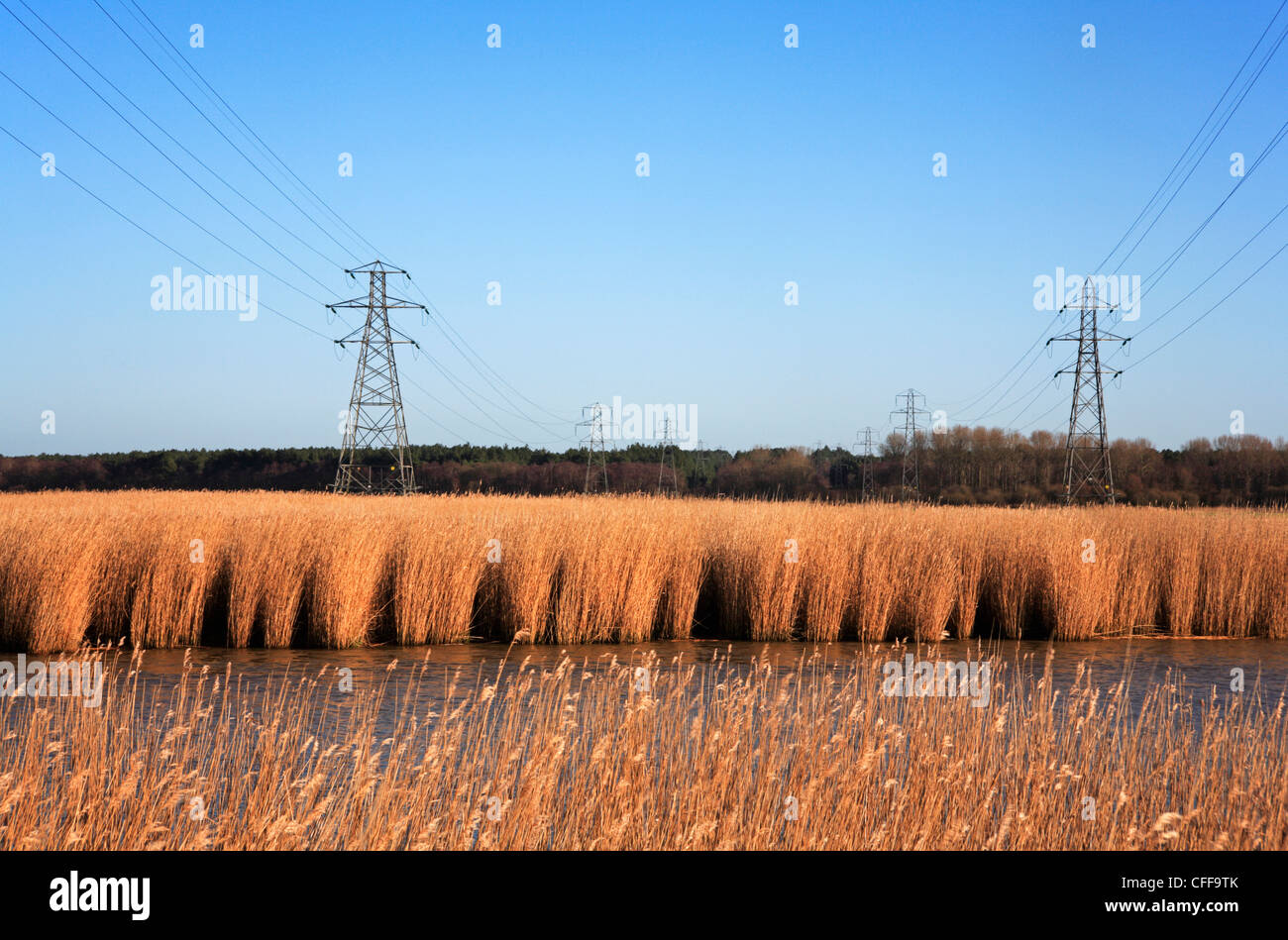 A view of power lines and pylons crossing the River Waveney on the ...