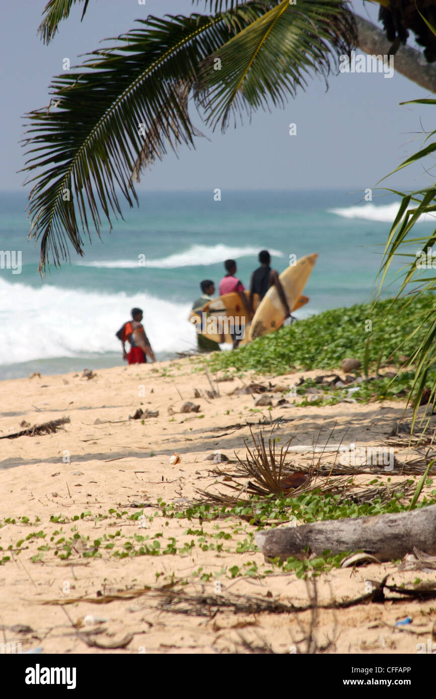 Four Surfer Friends On The Beach Sri Lanka Stock Photo - Alamy