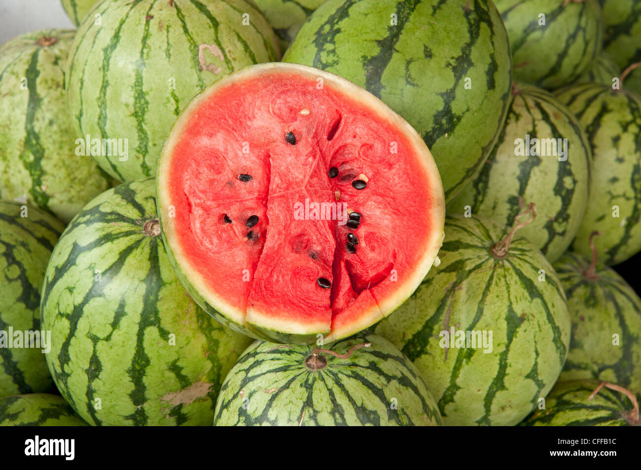 Jardinnatural hi-res stock photography and images - Alamy