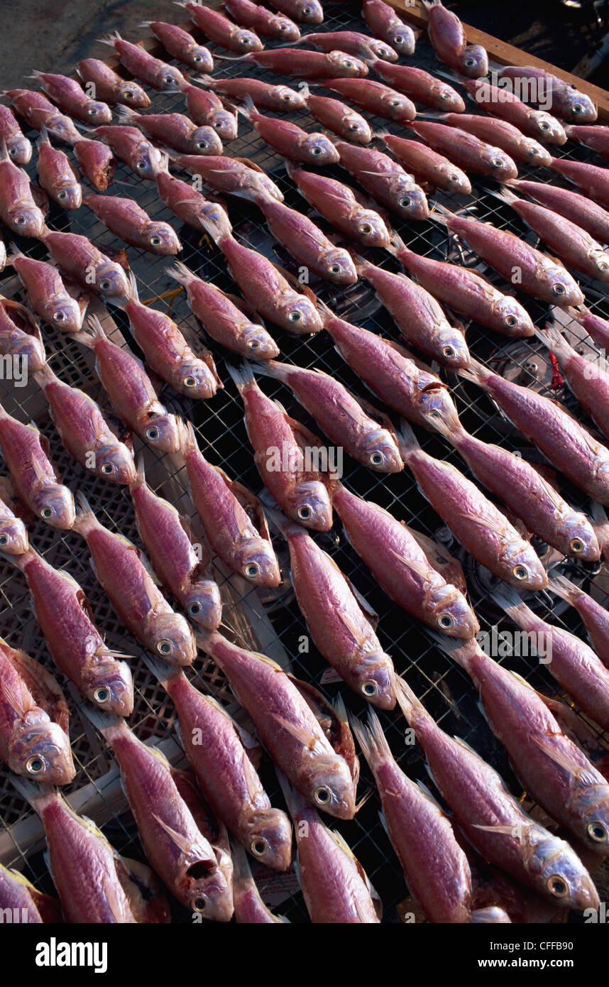 China, Hong Kong, Cheung Chau Island, Drying Fish Stock Photo - Alamy