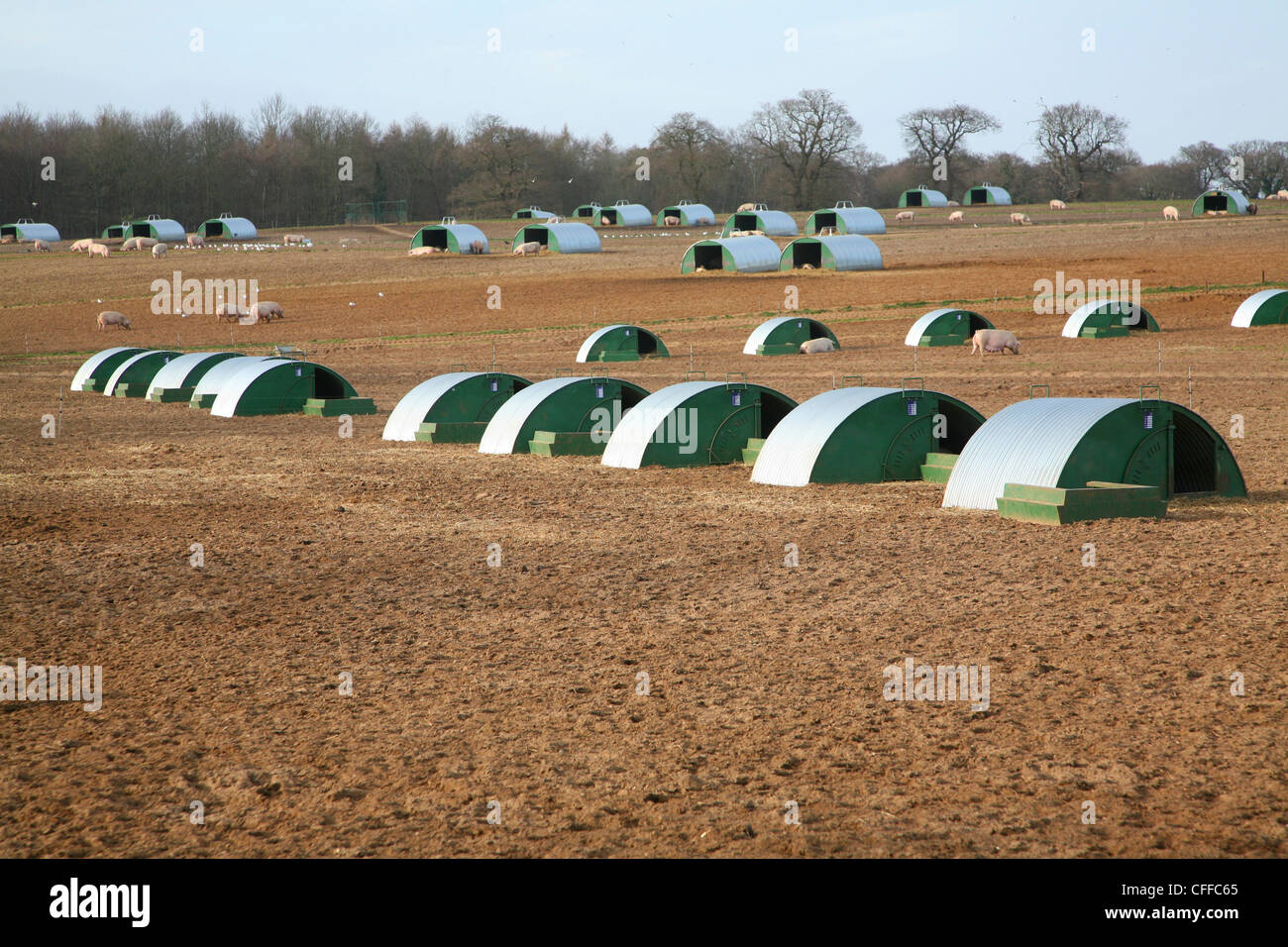 Metal pig sties in field Butley, Suffolk, England Stock Photo - Alamy