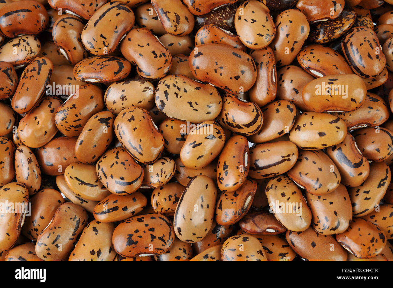 Bean legume background vegetable hi-res stock photography and images ...