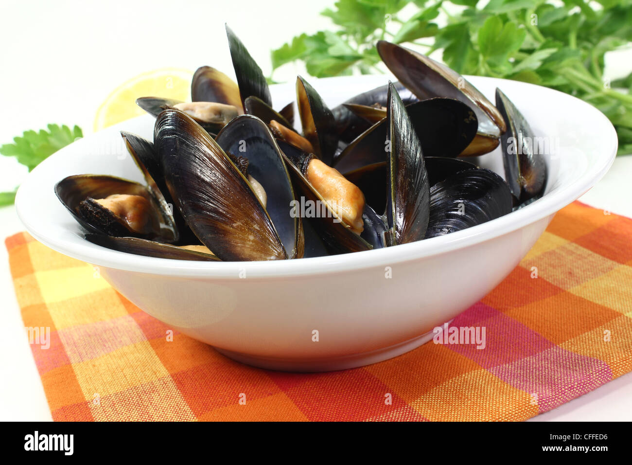 Fresh water pearl mussels hi-res stock photography and images - Alamy