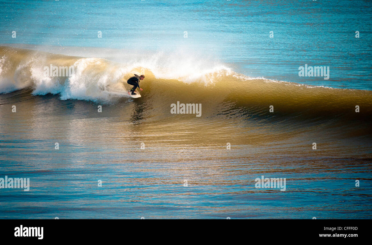 An east coast surfer rides a barrel Stock Photo - Alamy