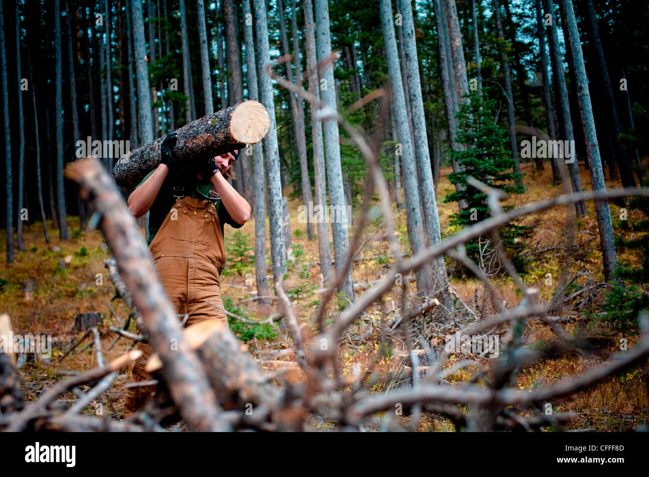 Man carrying log on shoulders hi-res stock photography and images - Alamy
