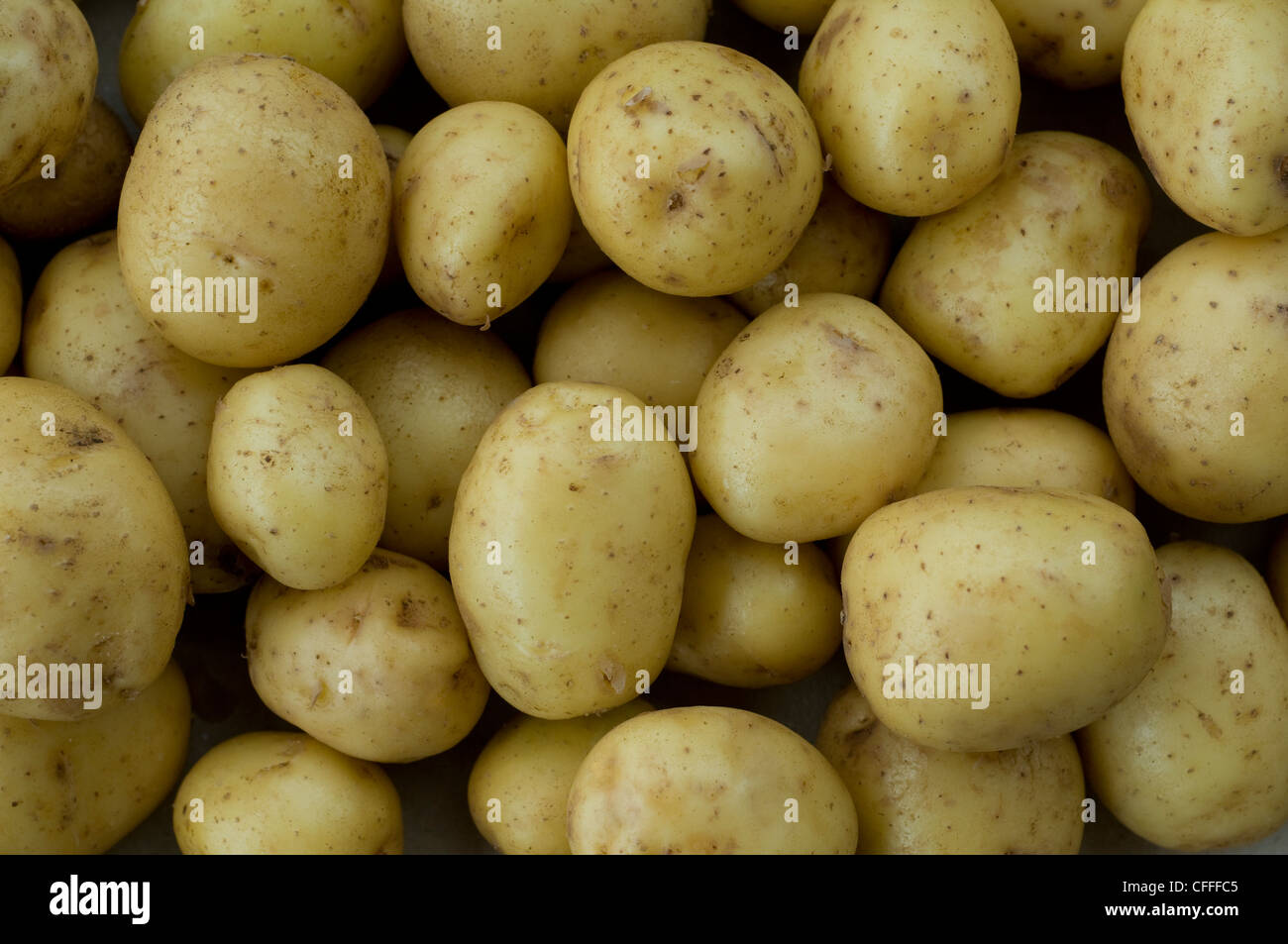 Potatoes top view Stock Photo - Alamy