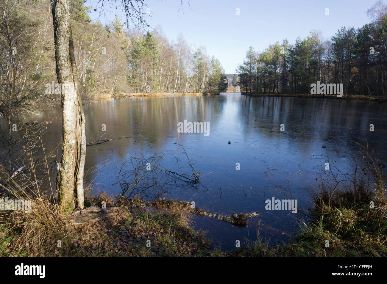 Moos germany hi-res stock photography and images - Alamy